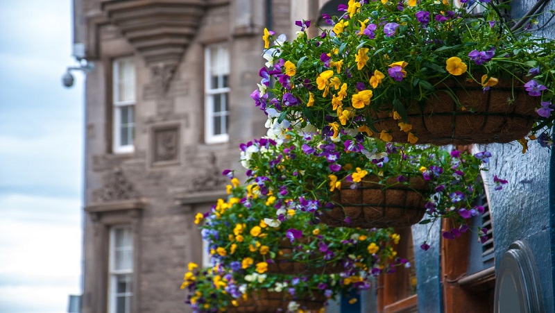 Where to Live in Edinburgh | Best Places to Live Edinburgh – Strutt ...