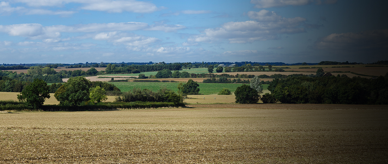 English Estate & Farmland Market Review | Spring 2017 | Strutt & Parker