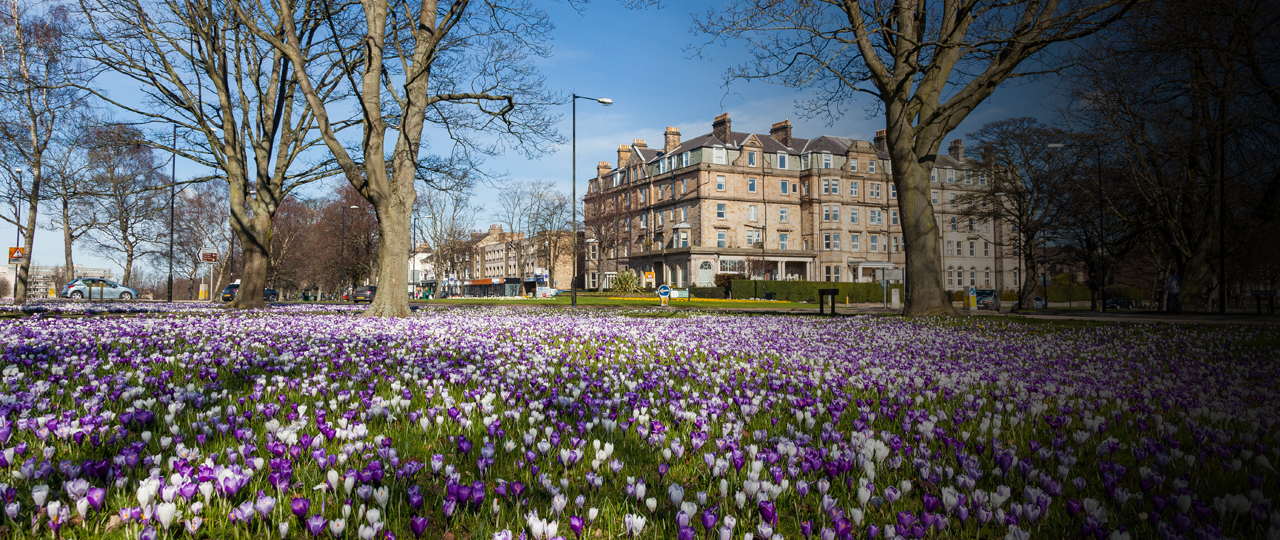 Guide to Harrogate | Strutt & Parker blog