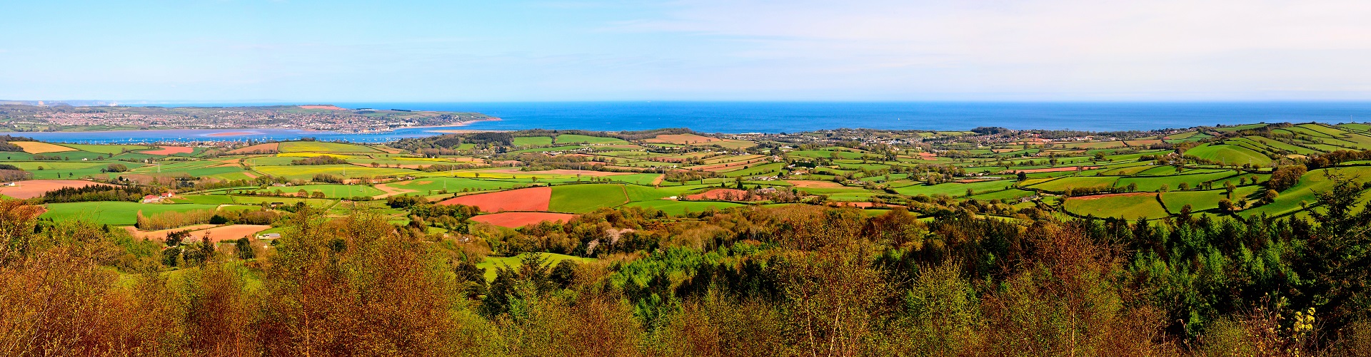 Exmouth Area Guide | Strutt & Parker