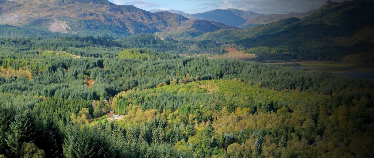 Planting of new forests and woodland is a major investment opportunity ...