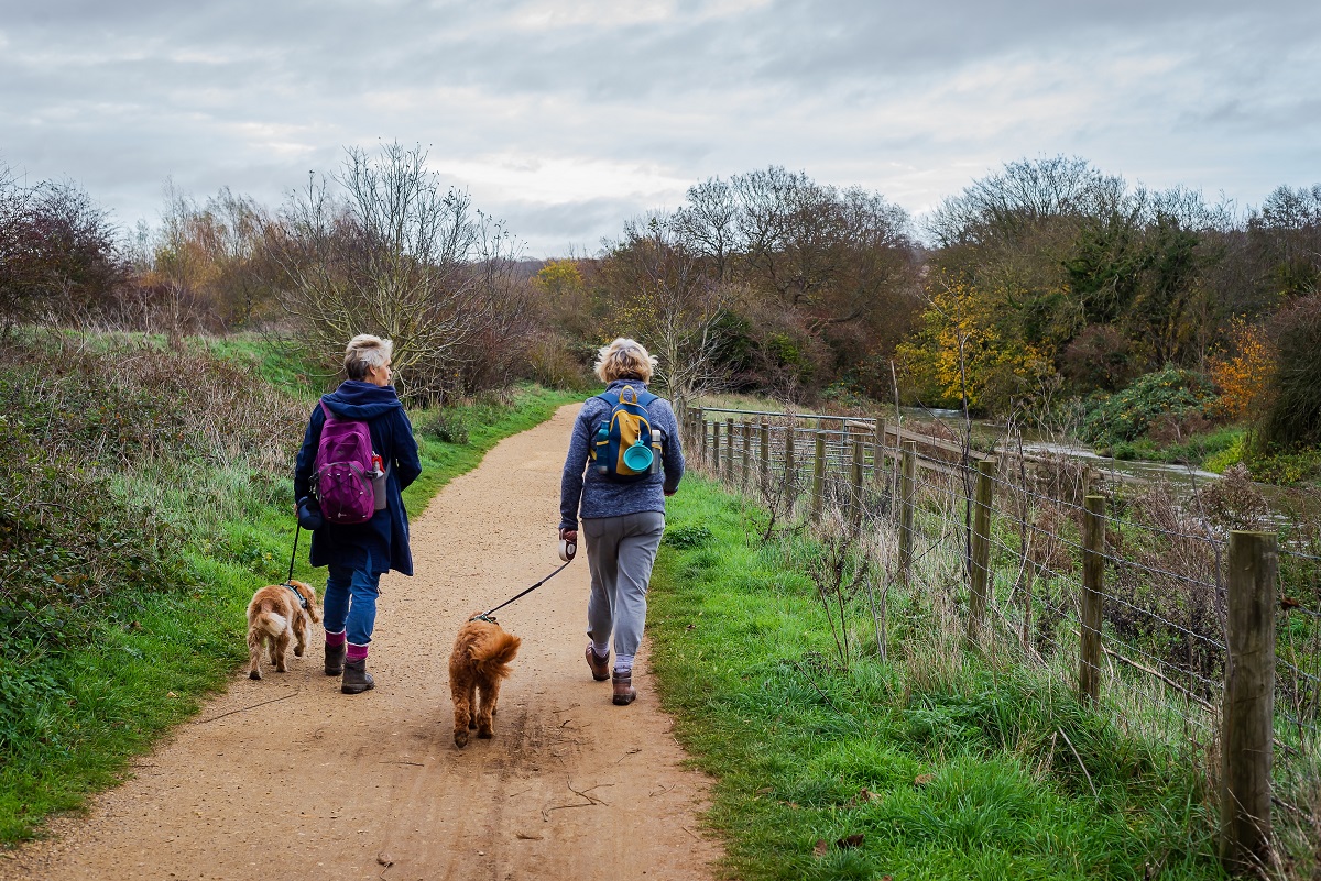 Best boxing day walks near Brentwood