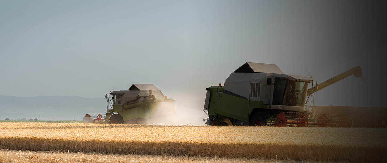 Scottish Farming Update | Autumn 2017 | Strutt & Parker